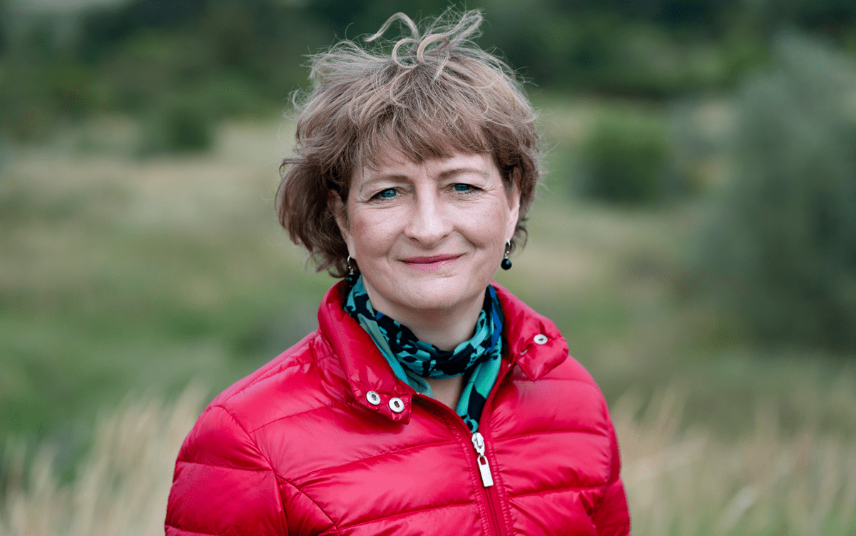 Enhedslisten og Alternativet vil tvinge København til at købe grønt ...